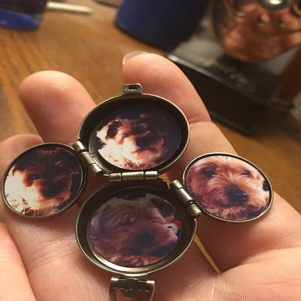 Incredible Four-way Locket Necklace Family Album Lockets Mourning ...