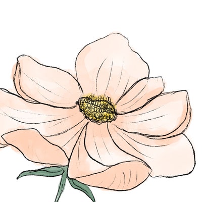 Live2d Vtuber Model for Commercial Use Girl Dolphin Vtuber ready to Use ...