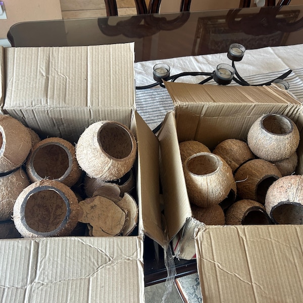 Natural Coconut Shell Flower Vases, Wedding Decor, Home Decor, Table ...