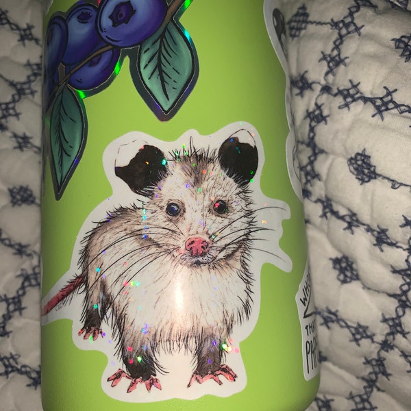 Sticker : Glitter Possum Opossum Planner, Craft, Vinyl Art Sticker ...