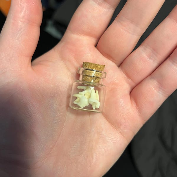 Real Moose Pellet in Glass Vial, Moose Poop, Animal Dung, Weird Gift ...