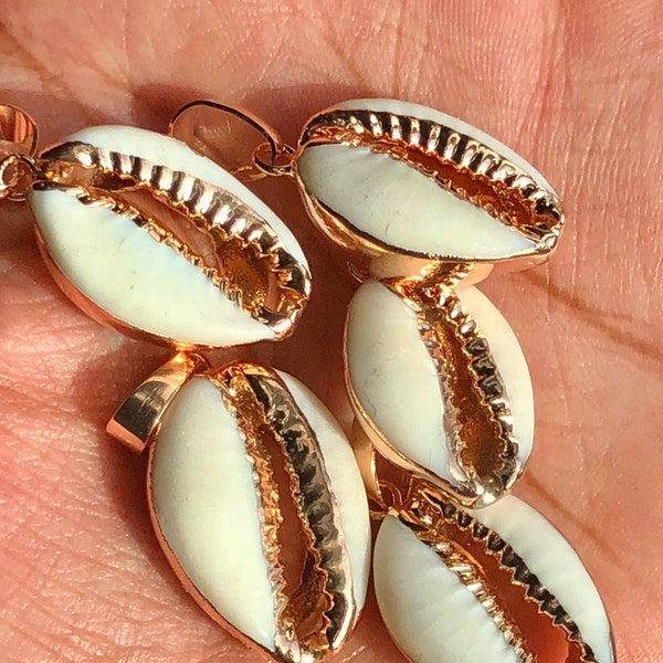 Real Natural Cowrie Shell, Gold, Sterling Silver, Rose Gold, Gold ...