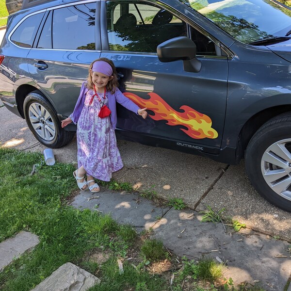 Ladybug Decals Premium Fabric Art Car Decal, Peel & Stick Wall Mural ...