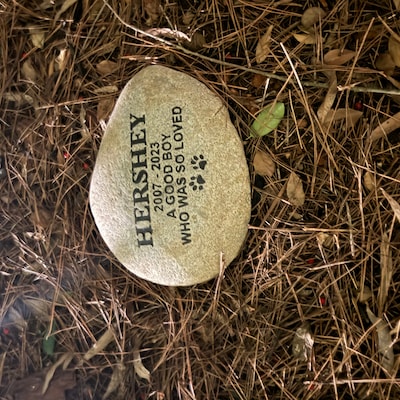 Family Tree Written in Stone Custom Carved River Rock Garden Decoration ...