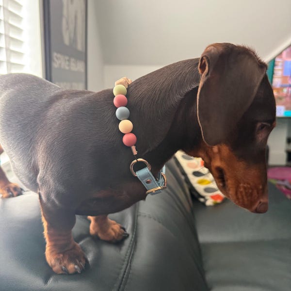 Personalized Dog Collar With Name,bead Dog Collar, Custom Dog Collar ...