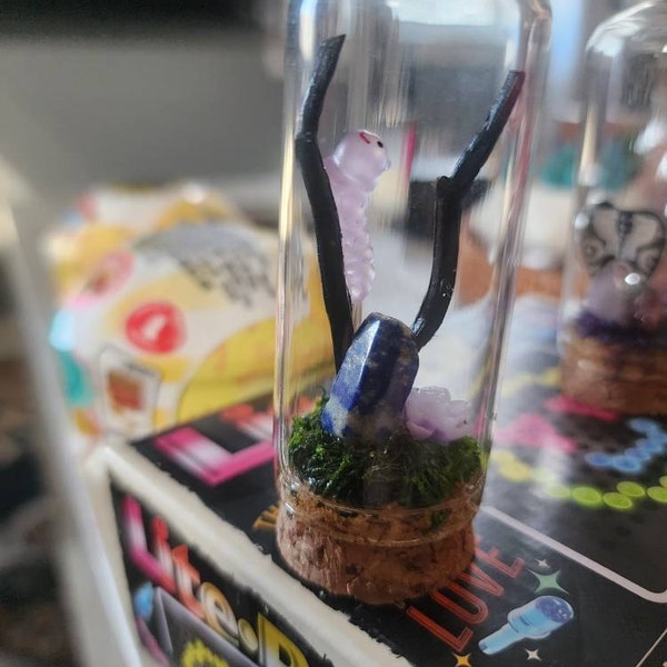 Mini Opal Moon Terrarium - Etsy