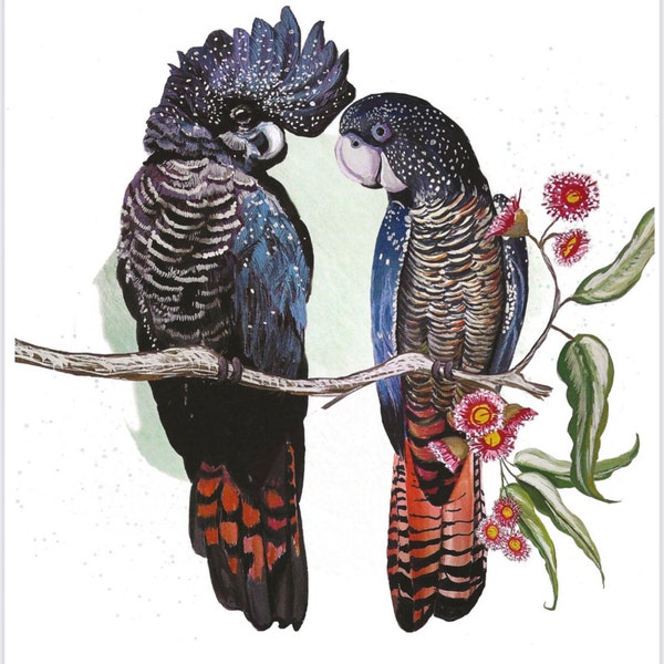 Australian Native Bird Print Kookaburra Black Cockatoo Rainbow Lorikeet ...
