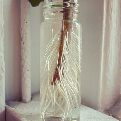 Copper Propagation Station Vessel Flower Buds Vase - Etsy