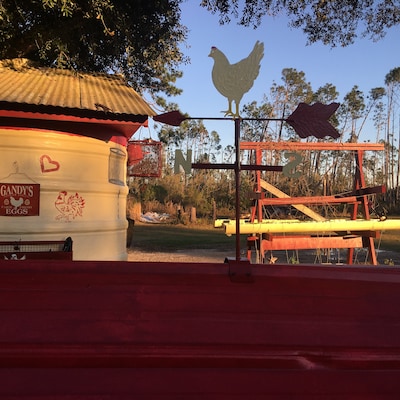 The Lazy Scroll Hen Chicken Roof Mounted Weathervane Black Wrought Iron ...