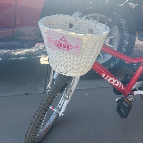 Custom Bicycle License Plates for Girls, Personalized With Any Name. 6 ...