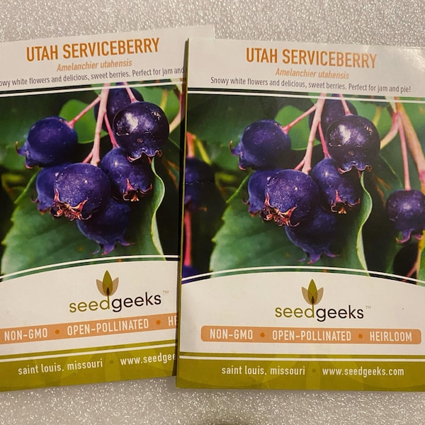 Utah Serviceberry - 10 Seeds - Heirloom Shrub Seeds, Purple Berries ...
