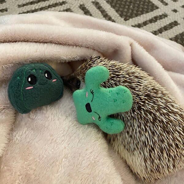 Ball Python Pastel Watercolor Snake A Plushie Stuffed Animal Friend ...