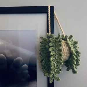 Car Fern Crochet PATTERN by Pamelambie Car Plant - Etsy