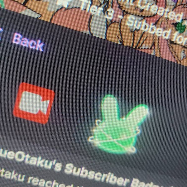 Animated Static Screens Cute Bunny Plush Lofi Desk Pink Stream Overlay ...