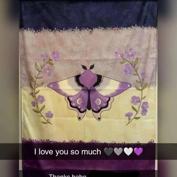 Cottagecore Aesthetic Asexual Pride Moth Flag | Ace Flag | Pride Flag ...