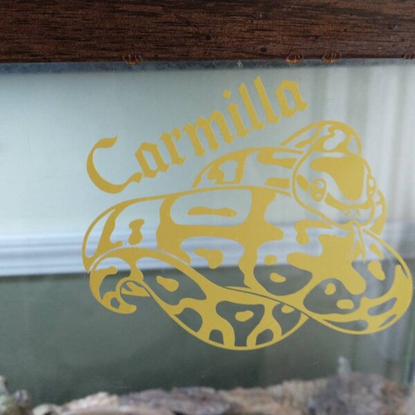 Ball Python Custom Name Decal | Pied Ball Python - Etsy