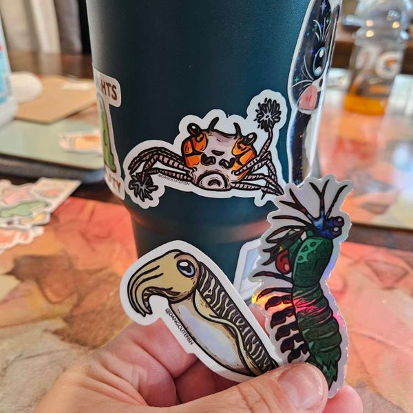 Magnet Set - 7 Cephalopods, Flamboyant Cuttlefish, Pajama Squid ...