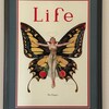 Life Magazine Cover Print | "the Flapper" Life Magazine Cover 1922 ...