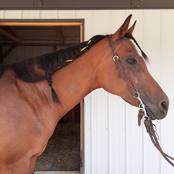 Design Your Own Mane Hair Extensions for Horses (perfect for Parties ...