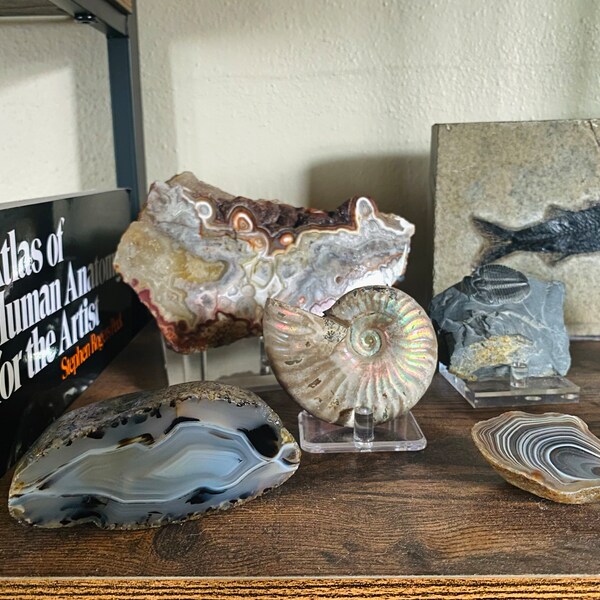 Condor Agate Polished Display Specimen. 8cm X 7cm X 3cm. - Etsy