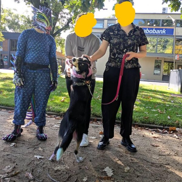 Black Cobra Snake Spandex Kids Costume Halloween Animal Print Cosplay ...