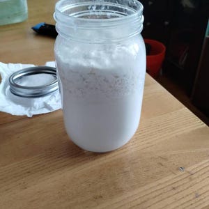 Kefir Fermenter: Container With Kefir Grains (20 G) - Etsy