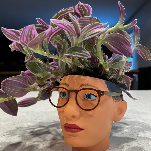 Nathan Fielder Head Planter – Custom Celebrity Face Pot, Quirky ...