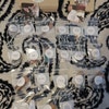 20 Item Curiosities Mystery Box Gift Real Animal Bones Fossils ...