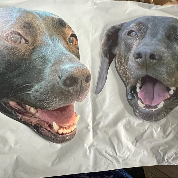 Custom Pet Head on a Stick Personalized Pet Portrait Prop for Parties ...