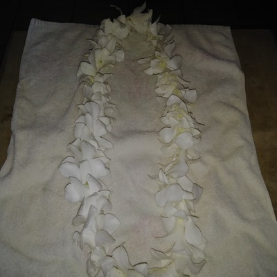 Hawaiian Lei Fresh White Orchid Lei. Fresh Lei From Hawaii. Ships Fast ...