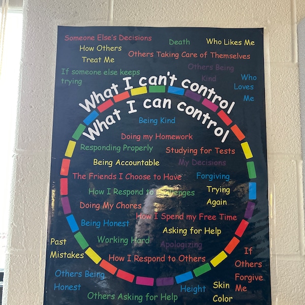 What I Can/cannot Control - Etsy Canada