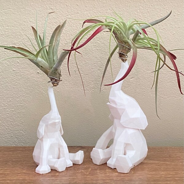 Elephant Air Plant Holder With Air Plant, 3D Print - Etsy