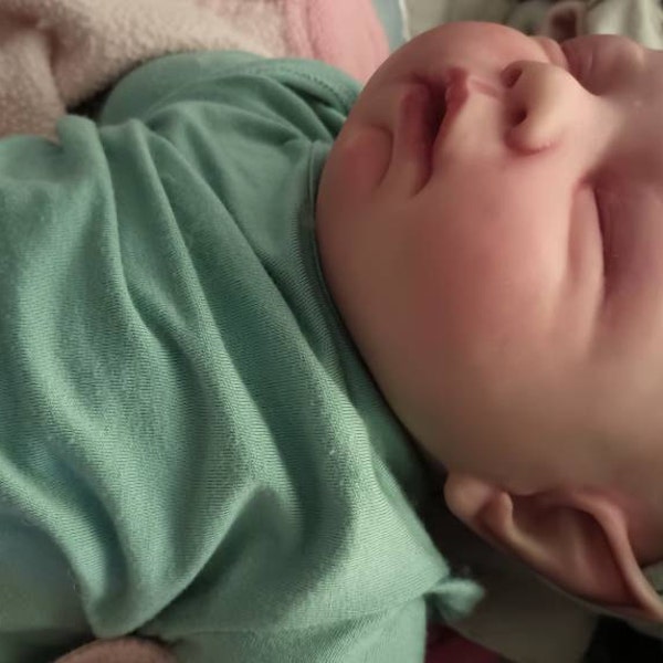 Shaylee Fairy Reborn Kit 10 Year Anniversary SPECIAL Edition 19" Blank ...