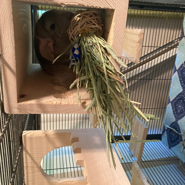 Au Naturel Chinchilla / Rat / Degu / Rabbit / Guinea Pig / Hamster ...