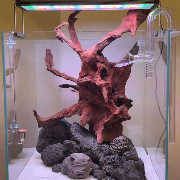 Black Lava Rock (fuji Stone) / Planted Aquarium / Decoration ...