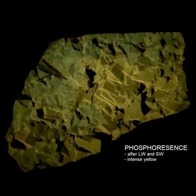 Authentic K-T Boundary kpg Boundary Sediment Layers Marking the ...