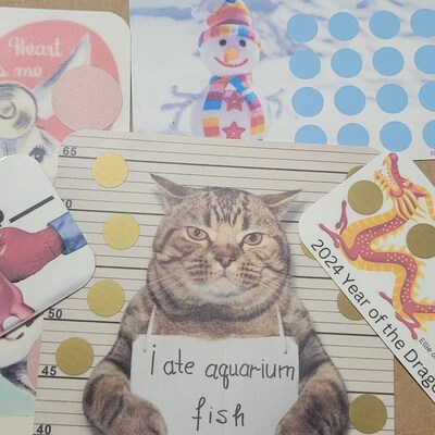 Capybara A6 Mini Cash Stuffing Savings Challenges Printable Download ...