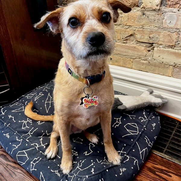 Custom Resin Glitter Dog Tag, Pet Id Tag, Epoxy Cat Tag, Dog Collar Tag ...