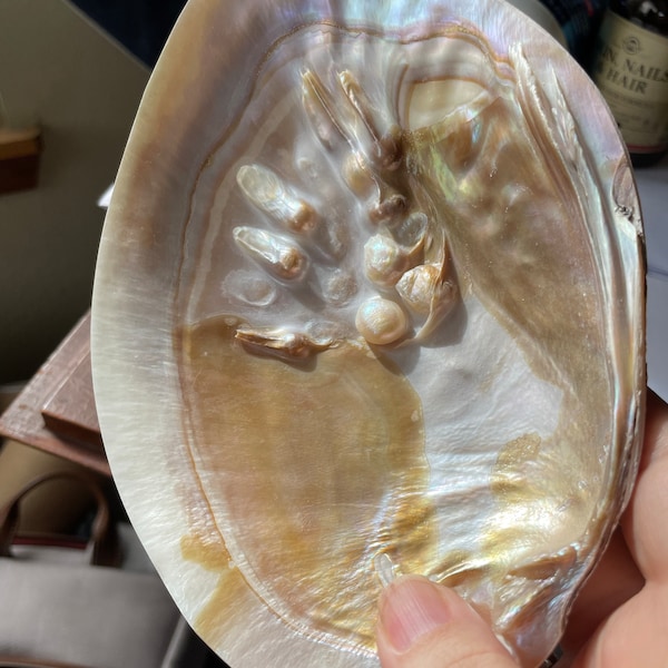 Large Natural Mother of Pearl Shell Dish W Real Iridescent Blister ...