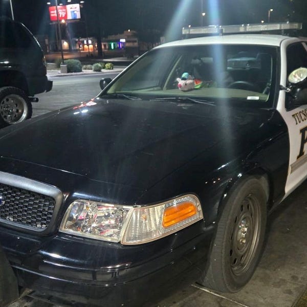 Crochet Police Pig Plush! Police State Trooper Gift Patrol Car Buddy ...