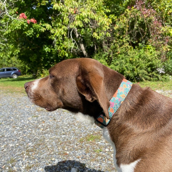 Fall Dog Collar, Autumn Dog Collar, Pumpkin Dog Collar, Embroidered Dog ...