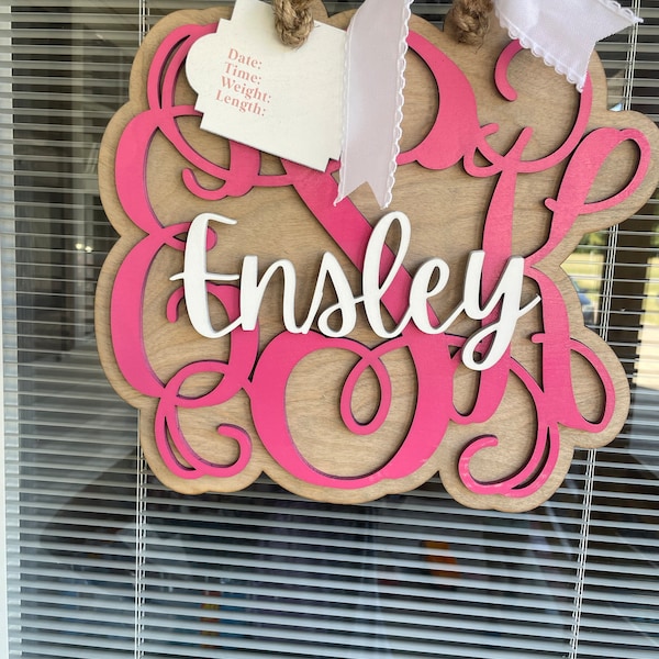 Baby Girl Hospital Birth Stat Sign | Hospital Door Hanger | Newborn ...