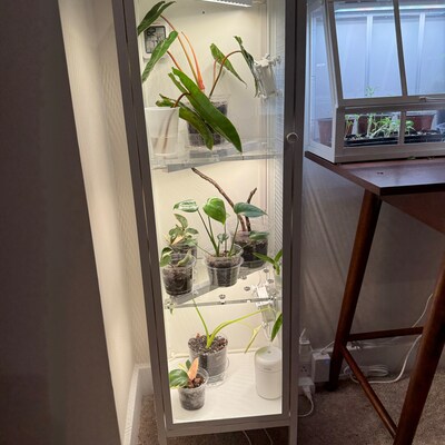 Milsbo Tall Set of 3 Sizes Shelves for IKEA Indoor Greenhouse Cabinet ...