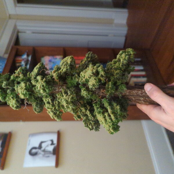 Dollhouse Miniature Handmade 17" Giant Sequoia Tree - 1/12 1/24 1:48 ...