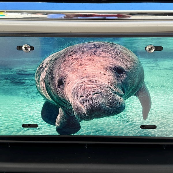 Manatee License Plate With Custom Background Options - Etsy