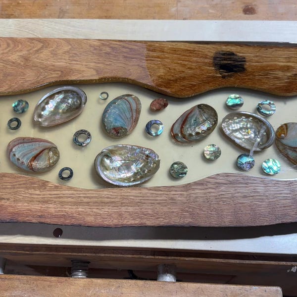 Bulk Raw Red Abalone Shells, Bulk Shells for Crafting, Abalone Shells ...