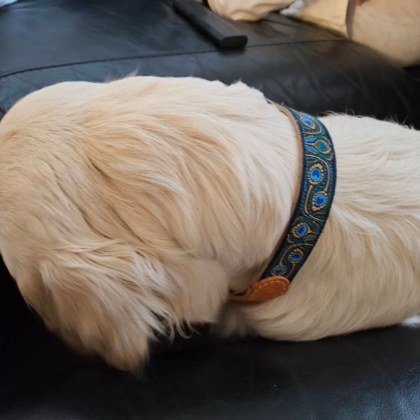 Dog Neck Band With Name. Custom Pet ID. Engraved Dog Collar. Custom Cat ...