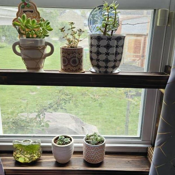 Multi-layer Rustic Window Sill Shelf for Succulents, Wandering Jew ...