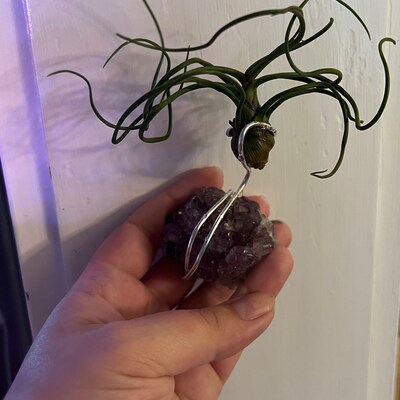 Unique Moss Wall Art Moss Wall Art Framed Black 36 X - Etsy