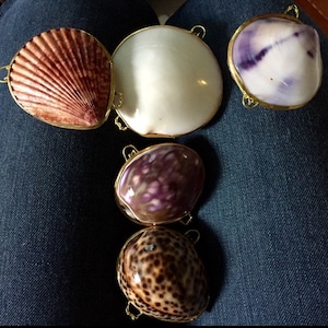 Real Seashell Trinket, Coin, Pill, Jewelry Box or Purse Available in 10 ...